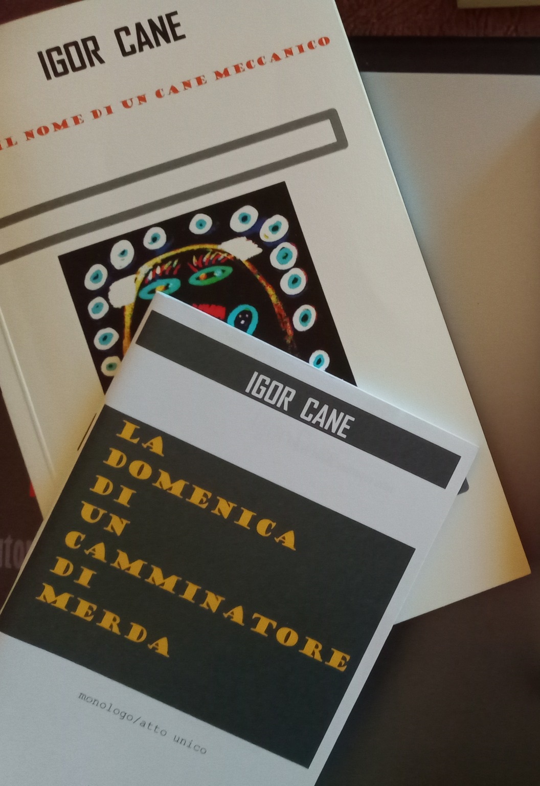 Vincenzo Trama – Libri vari – di Igor Cane – Il Foglio Letterario Edizioni